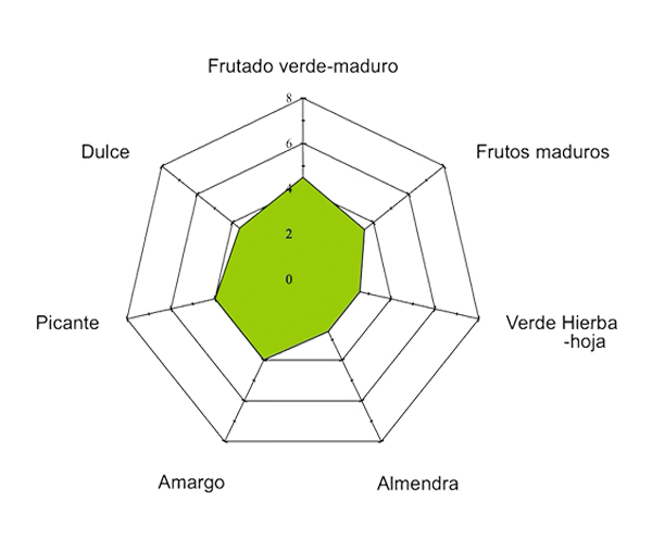 MAESTRO OLEARIO Extra Virgin Olive Oil 5 l